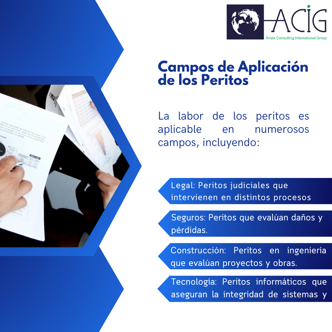¿Qué es un perito? - Arista Consulting international group